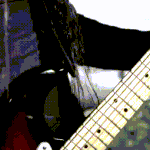 Nightstalker | The Official Website